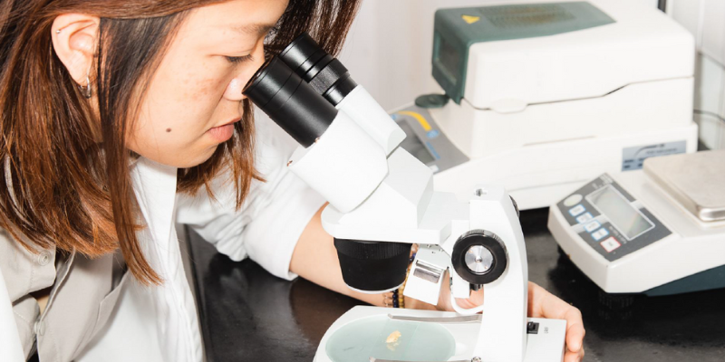 Leeds University and Entocycle reveal research program for commercialisation of UK insect ...