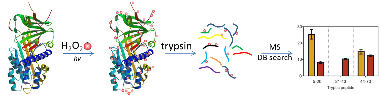 Research and Instrumentation | Biomolecular Mass Spectrometry | Faculty ...