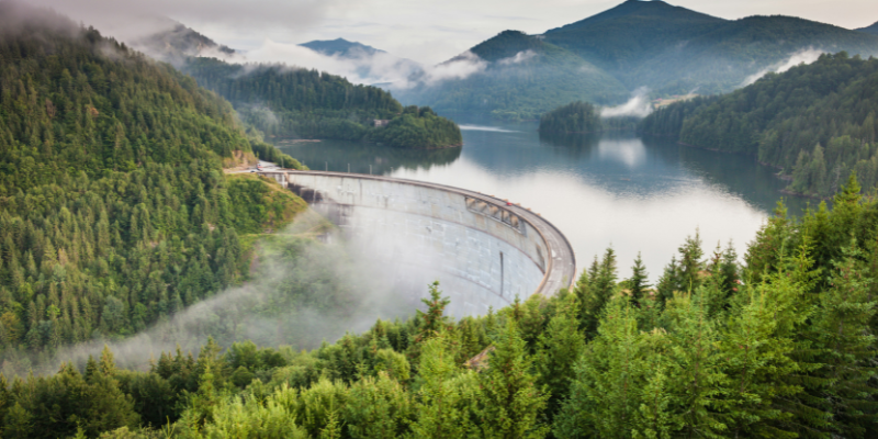 The surge in hydroelectric dams is driving massive biodiversity loss ...
