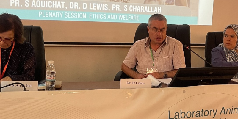 Professor Dave Lewis appointed Vice-President of the British Pharmacological Society | Faculty ...