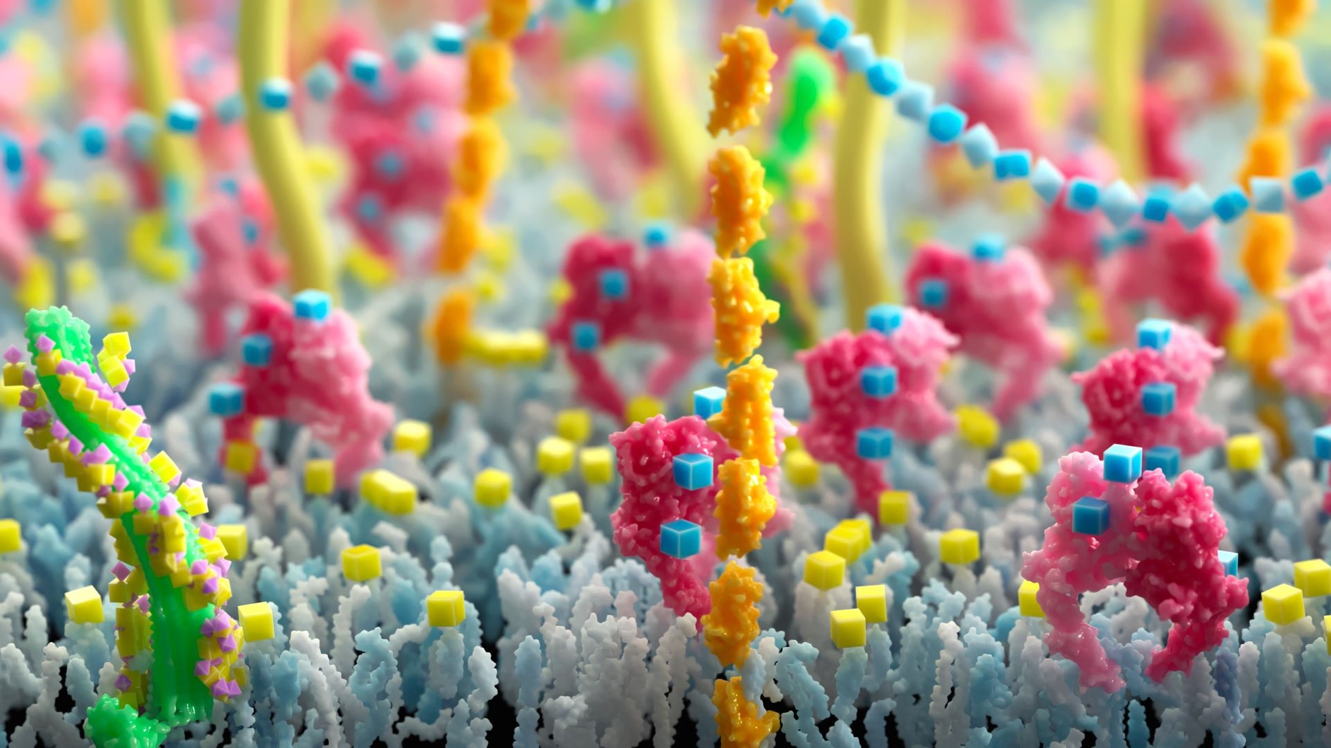 Leeds-led consortium secures €3m to pioneer next-generation antibody ...