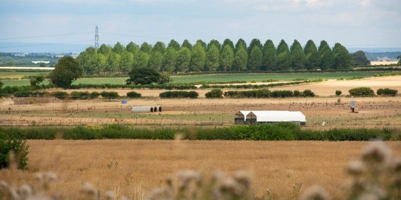 Farming for the future | School of Biology | University of Leeds