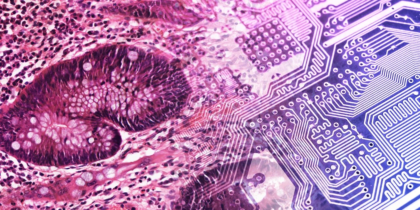 Masters in Precision Medicine: Genomic Data Science: UG | Faculty of ...