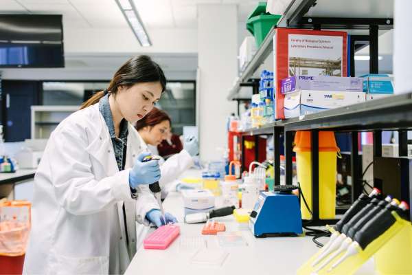 Capstone and Research Projects | Faculty of Biological Sciences ...